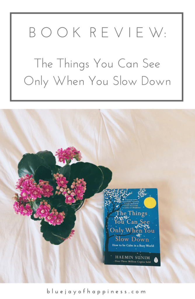 Book review: The Things You Can See Only When You Slow Down - Blue Jay ...